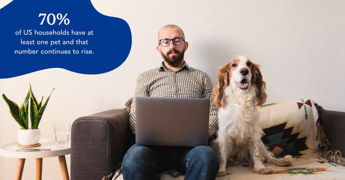 How Pet Care Impacts Employee Engagement